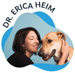 Dr. Erica Heim - Best Friends Animal Hospital - Valley Village Vet